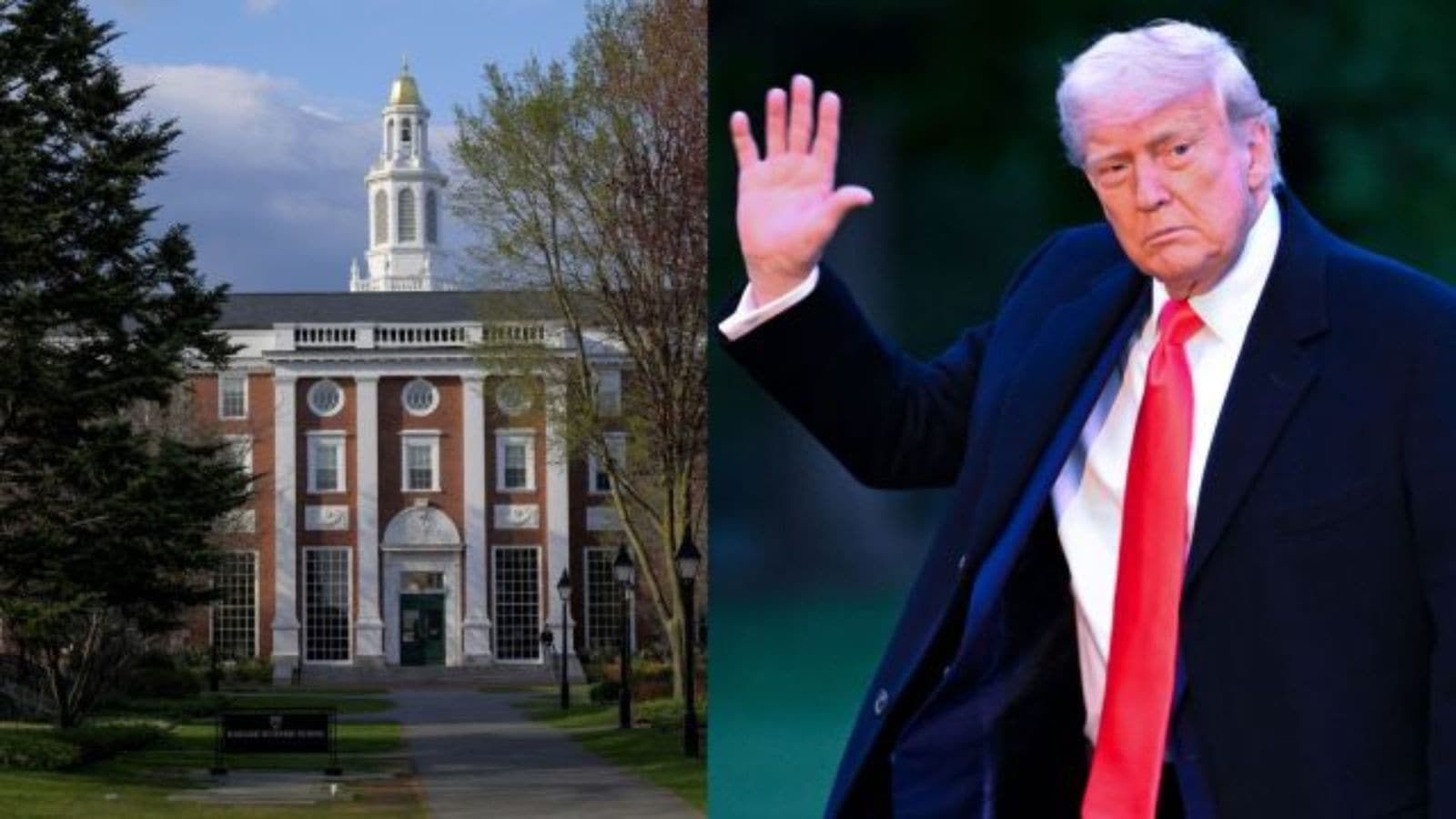 Trump says a deal with Harvard is possible over next week | World News ...
