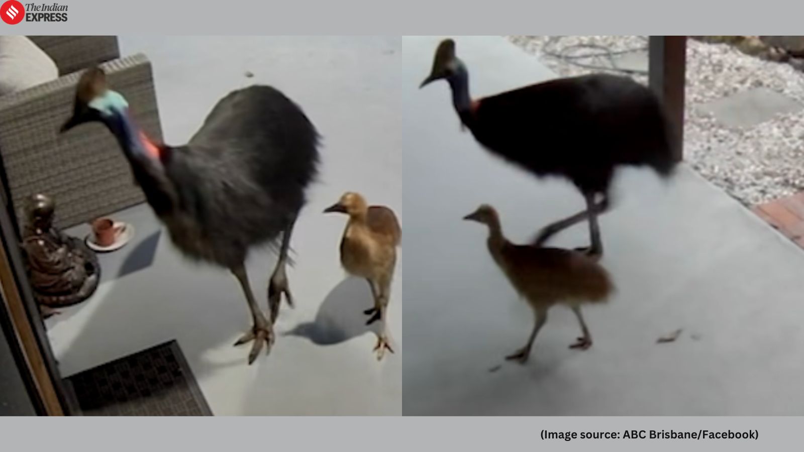 Watch: Mother and child’s heart-stopping escape from ‘world’s most ...