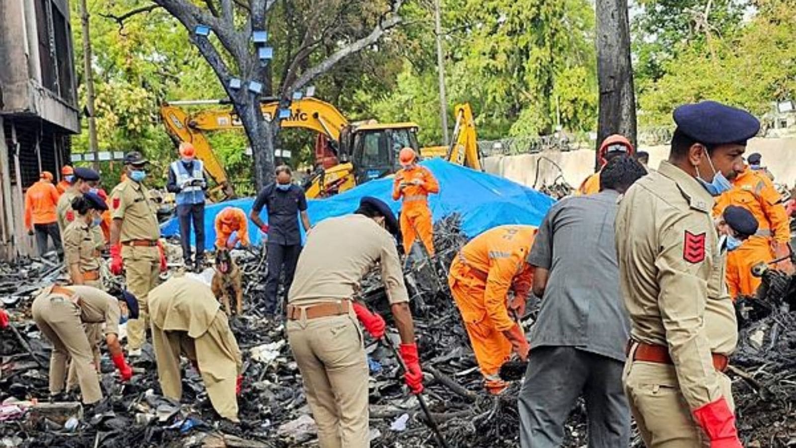 99 DNA matches confirmed, 64 bodies handed over so far after Air India ...
