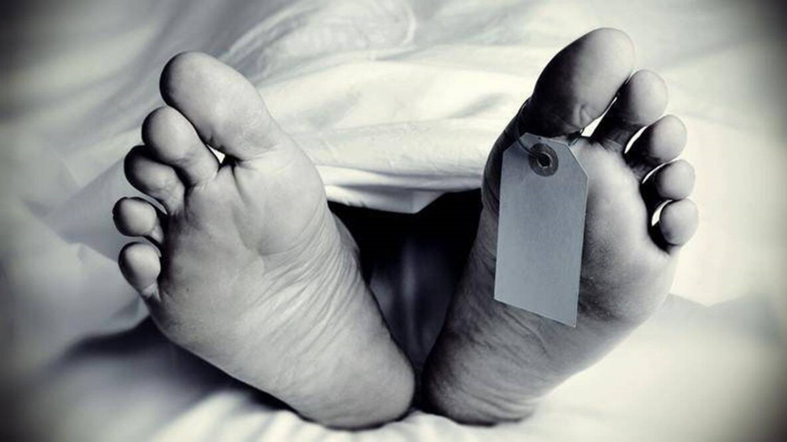 Bodies of missing 40-year-old man, 17-year-old girl found in 1,200-ft ...