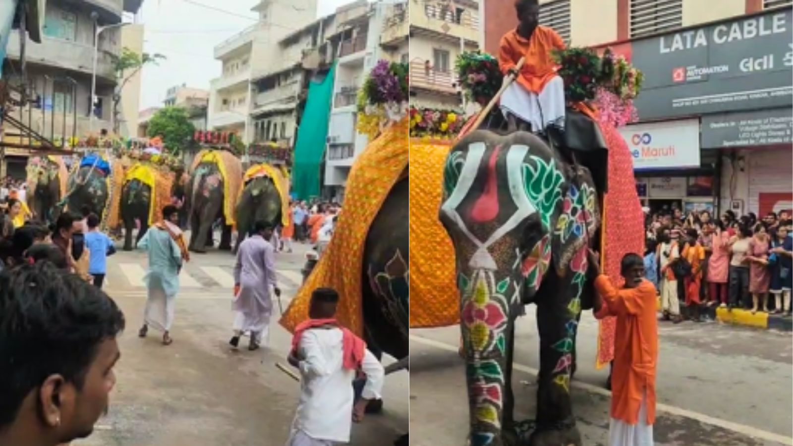 2 injured as elephants run amok during Jagannath Rath Yatra in ...
