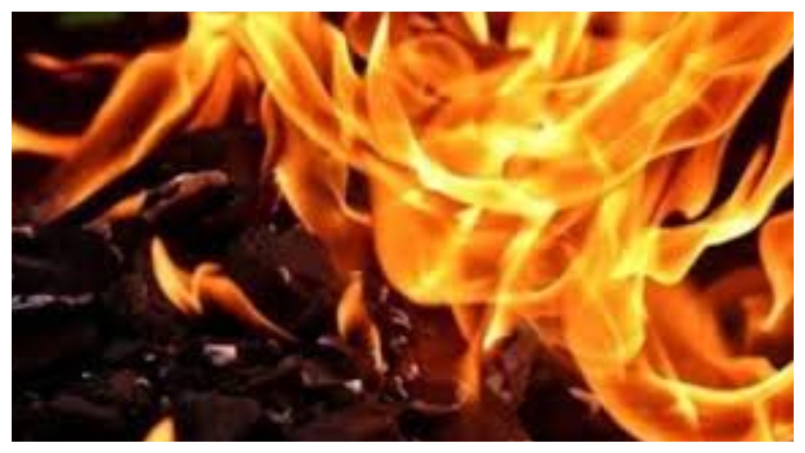 Man charred to death fighting forest fire in J-K’s Rajouri | India News ...