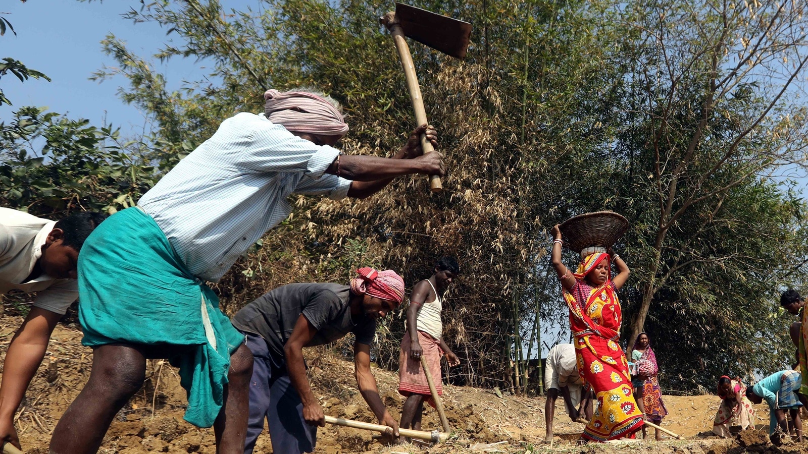 How MGNREGA is being used to stop distress migration in Maharashtra’s Nandurbar | Pune News ...