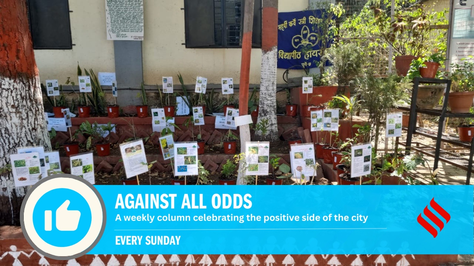 ‘Each tree is worth over one crore’: Raghunath Maruti Dhole on his ...
