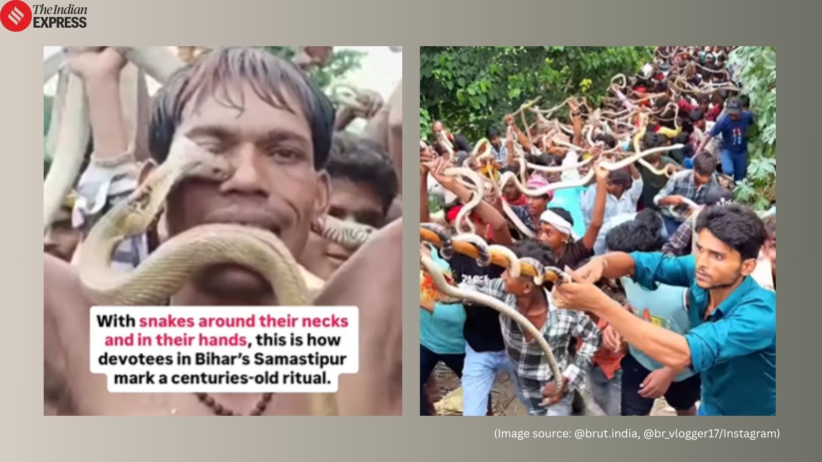 Bihar’s Nag Panchami ritual goes viral as devotees parade with snakes ...