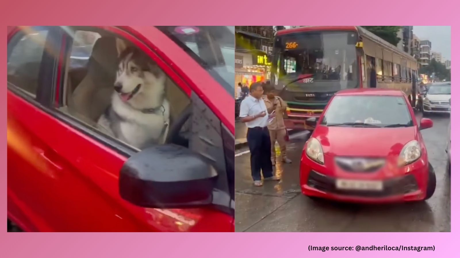 Car with dog on driver’s seat causes traffic jam in Mumbai’s ...
