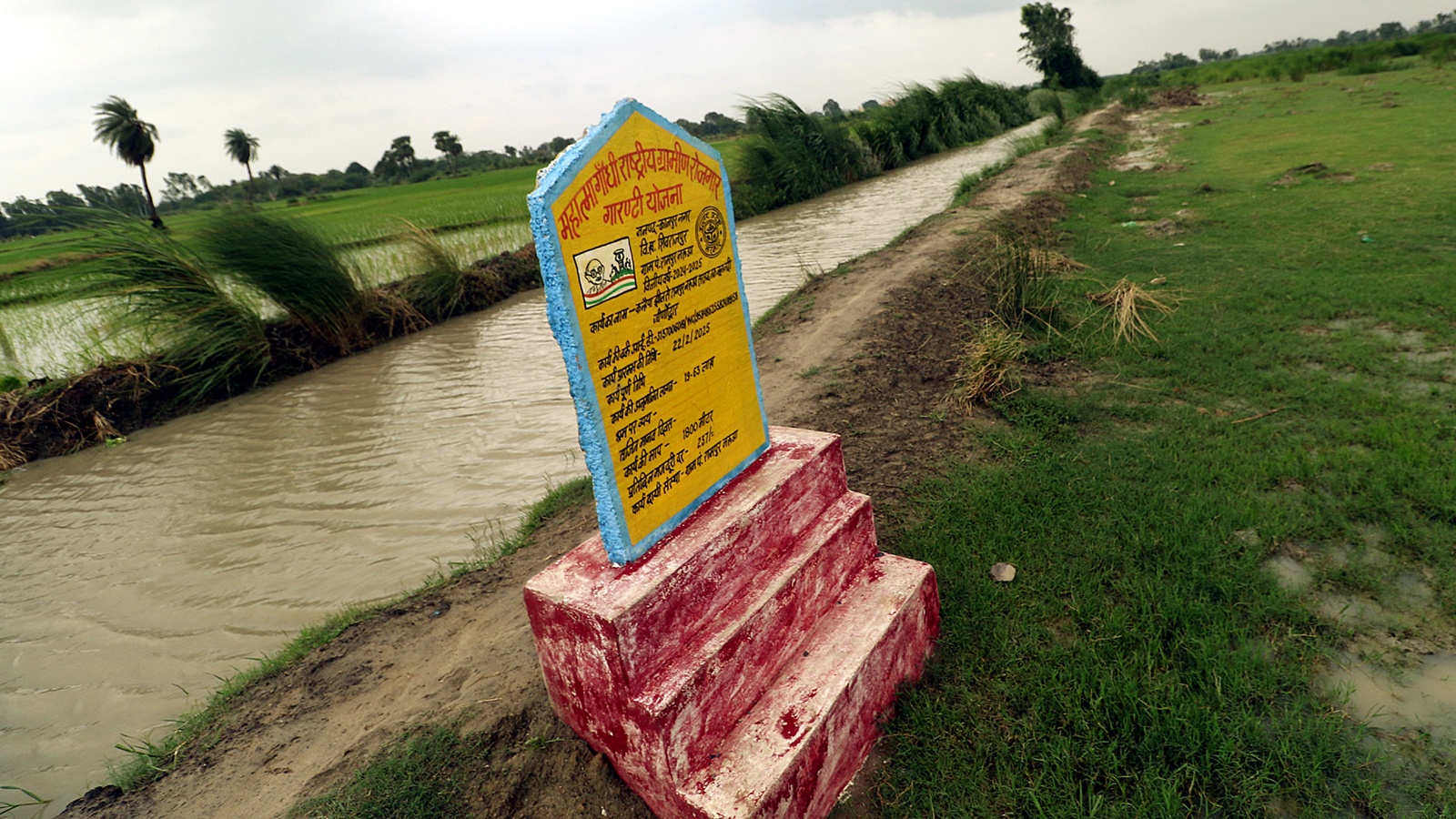 From drone mapping to removing water hyacinth, how a river was brought ...