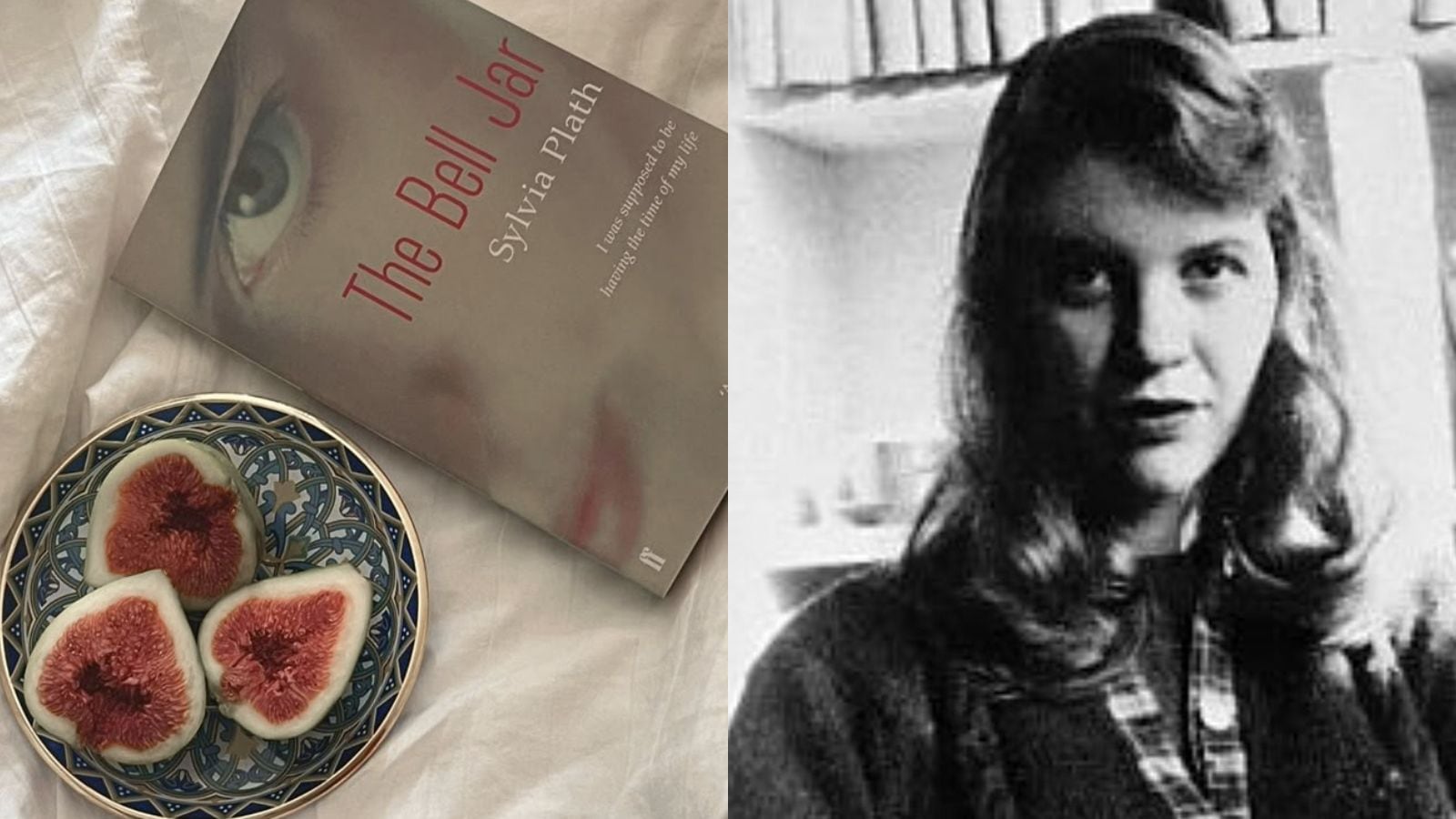 The age of the fig tree: Why Sylvia Plath speaks to Gen Z’s paralysis ...