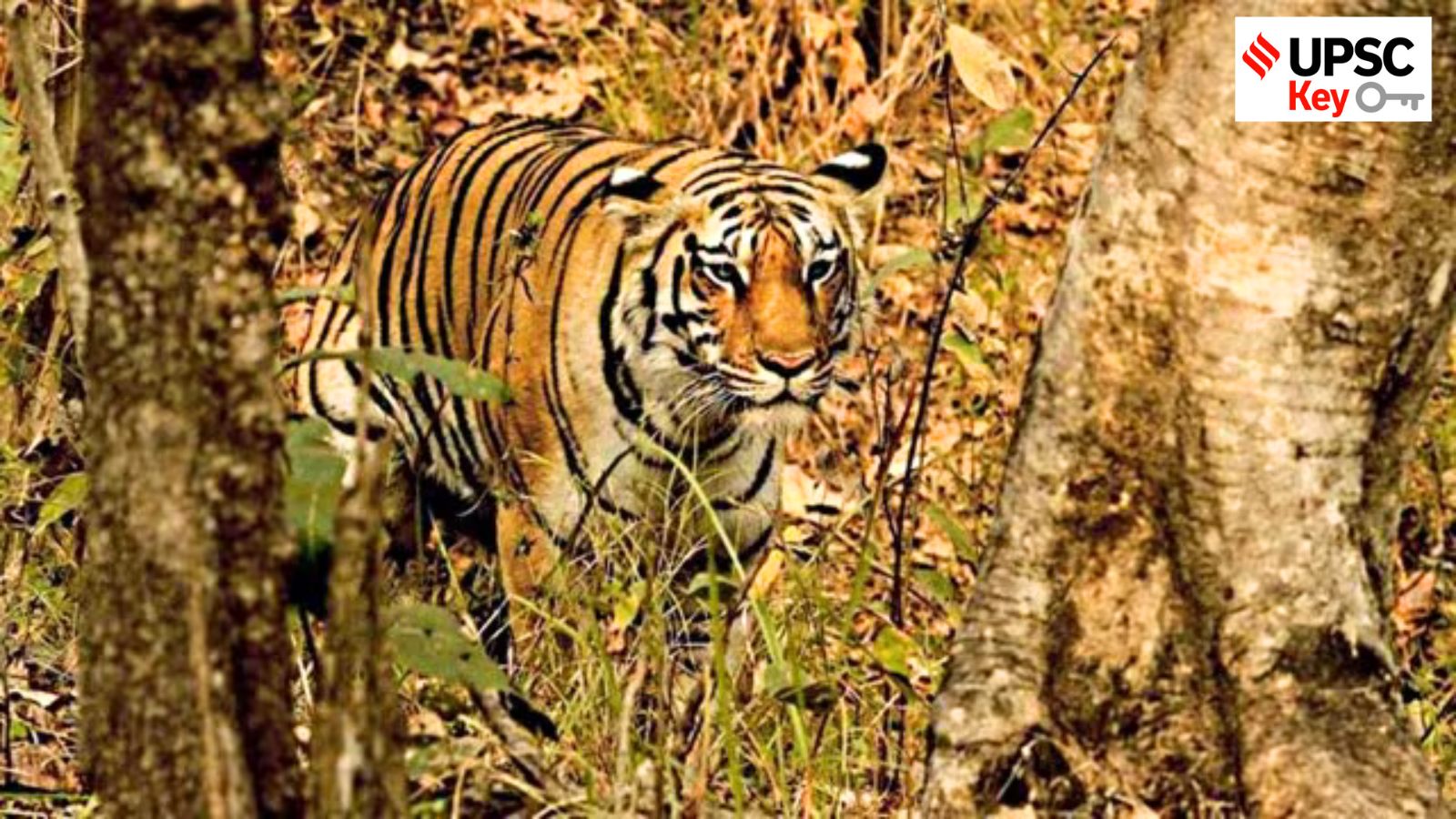 UPSC Key: Eco-Sensitive Zones, Stablecoins and Special Intensive ...