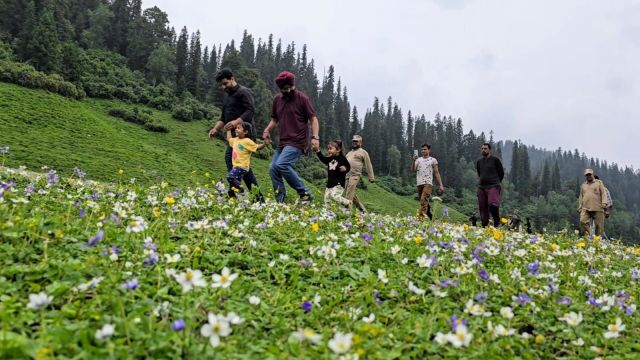 A new road opens Valley of Flowers to tourists in Jammu | India News ...