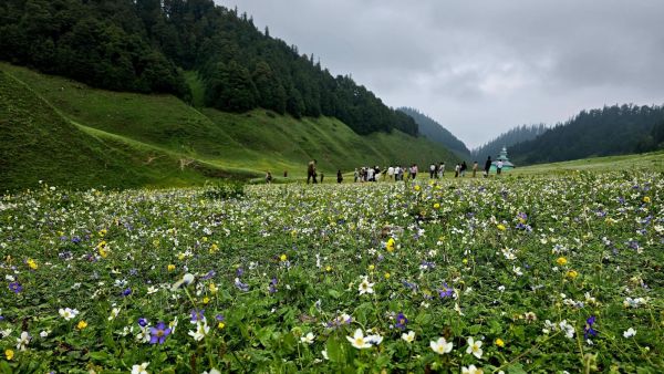 A new road opens Valley of Flowers to tourists in Jammu | India News ...