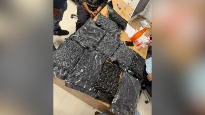 Passenger held with hydroponic weed of Rs 10.5 crore at Mumbai airport ...