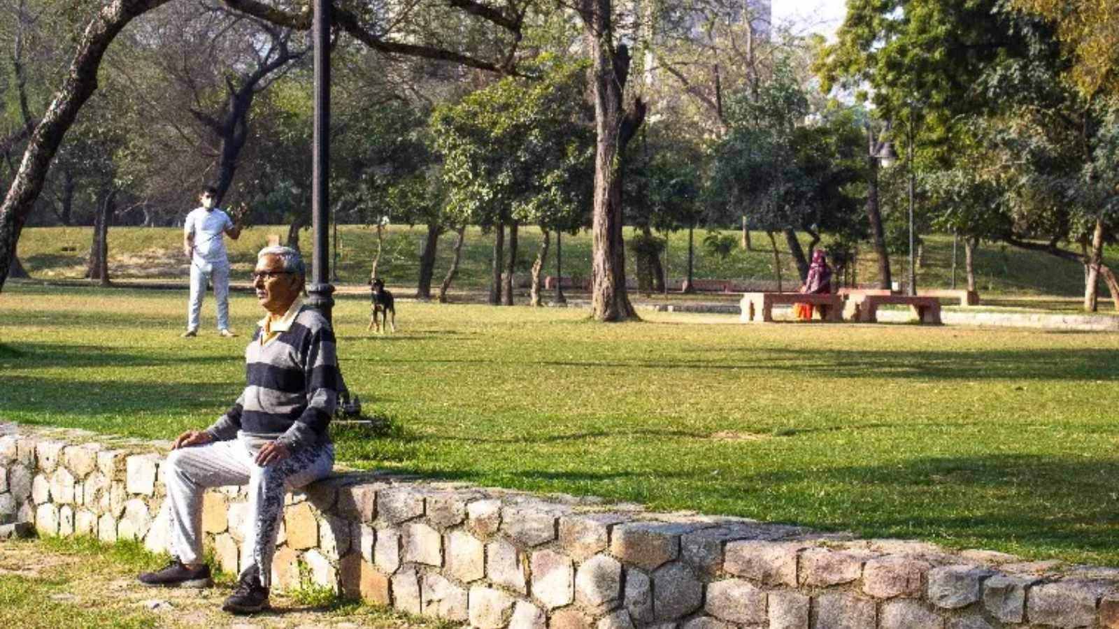 Delhi’s parks fail to offer relief during summers. Here’s what a study ...