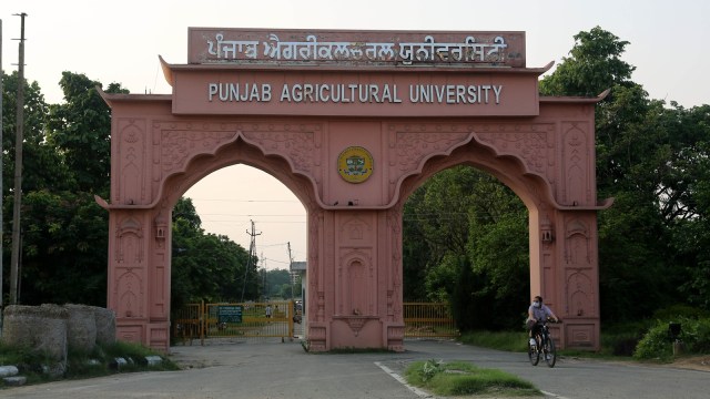 Punjab Agricultural University among world’s top 100 agri institutions ...
