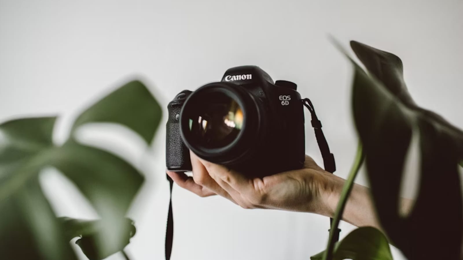 World Photography Day: Evolution of cameras through history | Lifestyle ...
