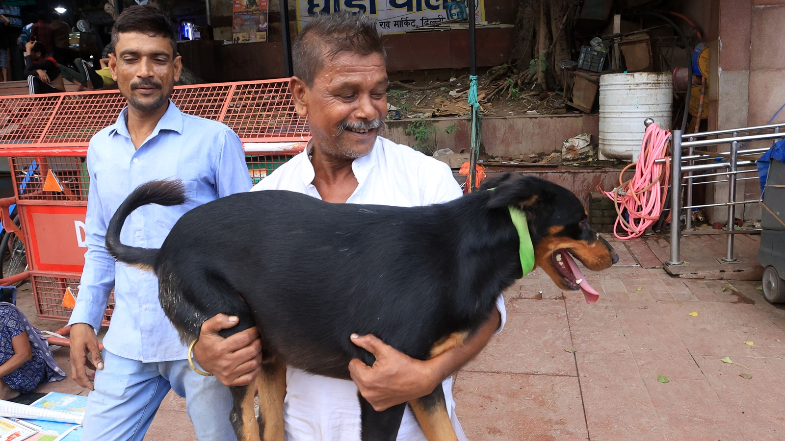 ‘Yehi toh tha humara, phir se aa gaya’: Red Fort’s beloved stray dogs ...