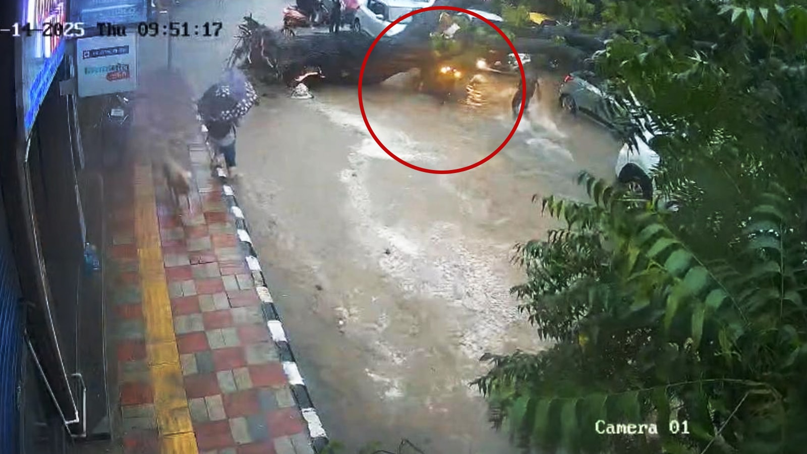 Tree fall, wall collapse kill 3 as rain heavy again lashes Delhi ...