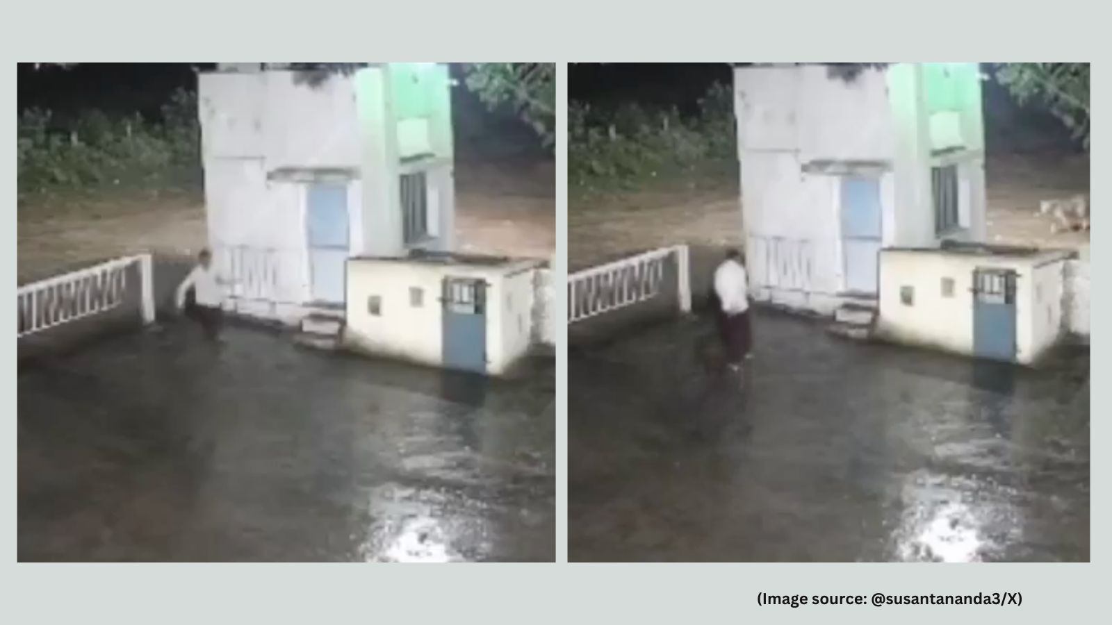 Man, lion startle each other as they come face to face in Gujarat’s ...