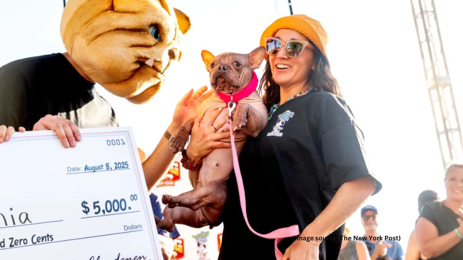 Meet Petunia, the 2-year-old hairless dog crowned ‘world’s ugliest ...