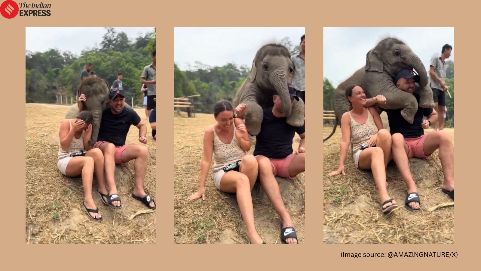Elephant calf hugs couple in heartwarming viral video; netizens say, ‘it would fix me ...