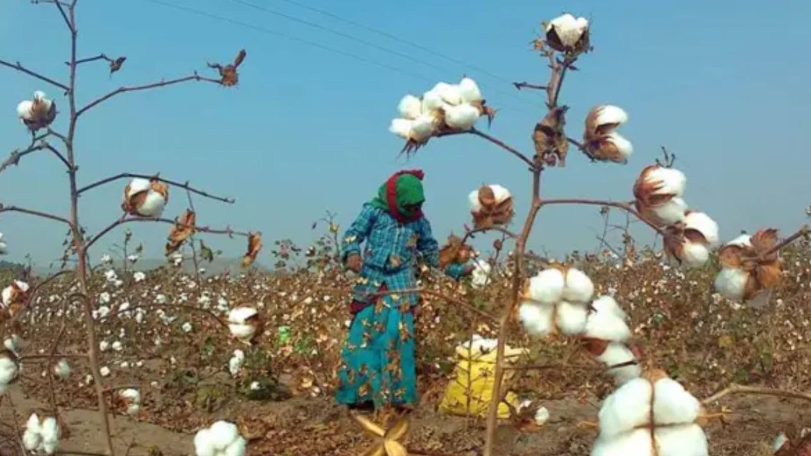 At SKM’s Samrala victory march, farmer leaders object to Centre ...