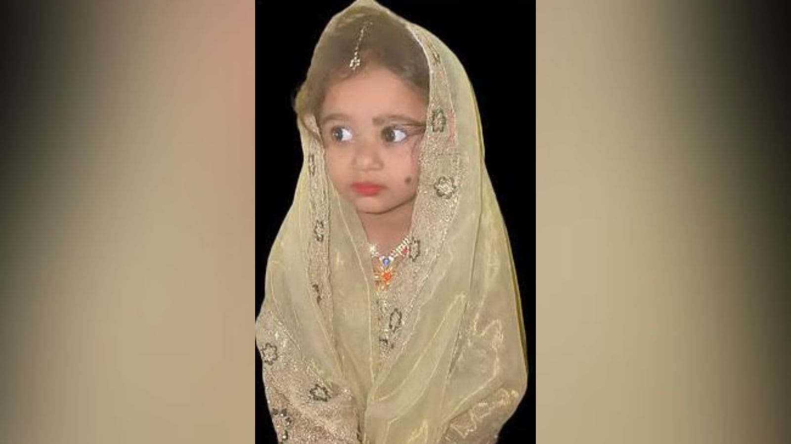 Bitten by stray dogs, 4-year-old girl succumbs to rabies in Bengaluru ...