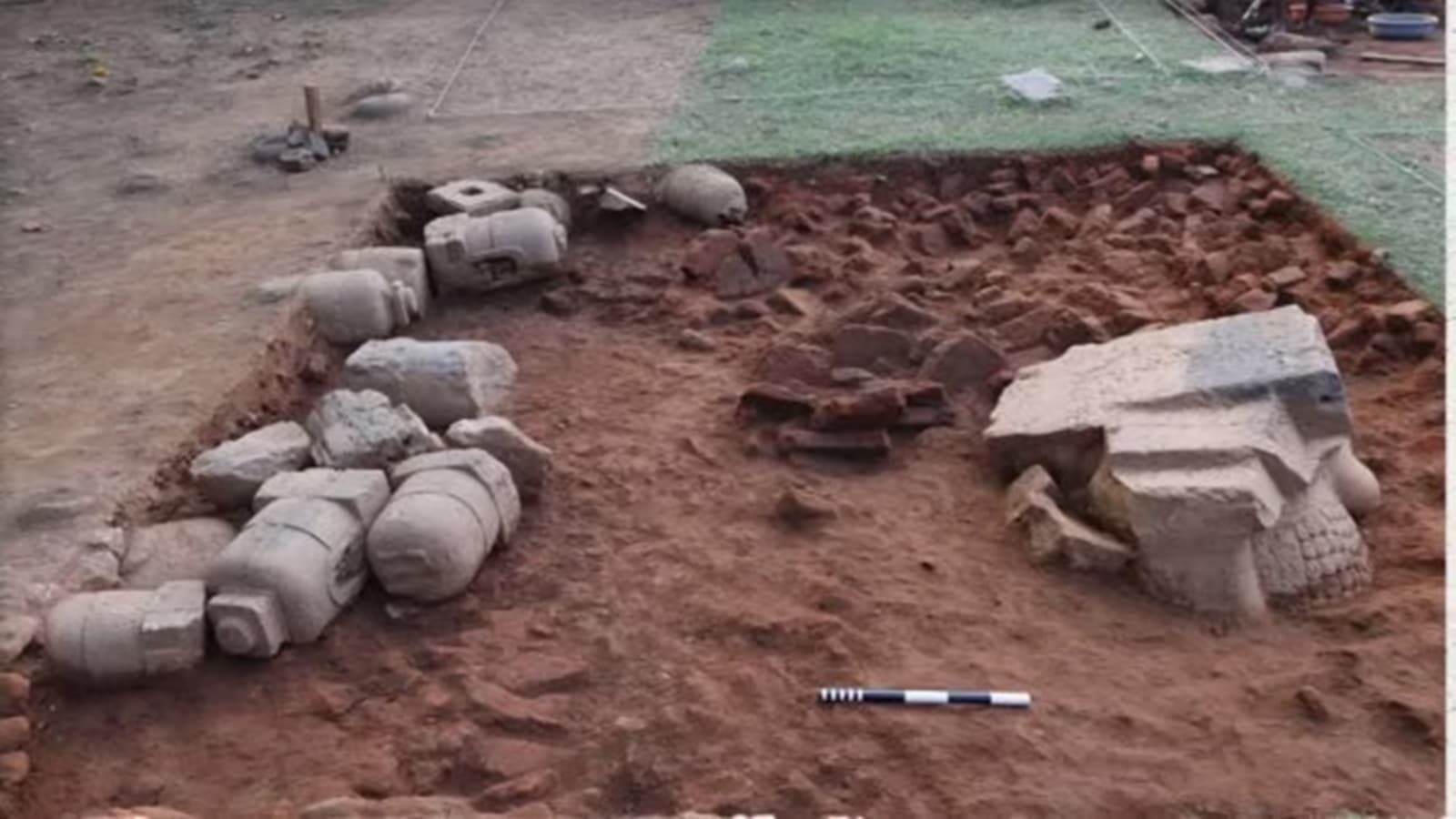 Suspected dinosaur-era fossils found during pond excavation in ...