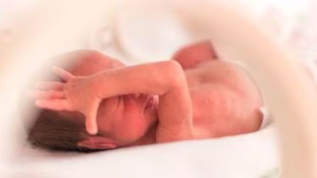 IVF miracle as US baby is born from embryo frozen 30 years ago: Can ...