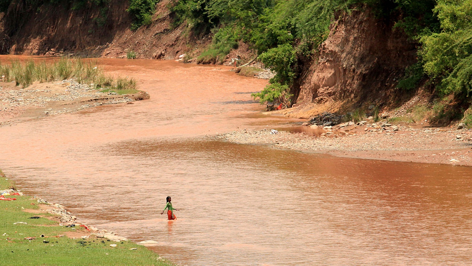 Ghaggar River water not fit for drinking, bathing, ministry informs MP ...