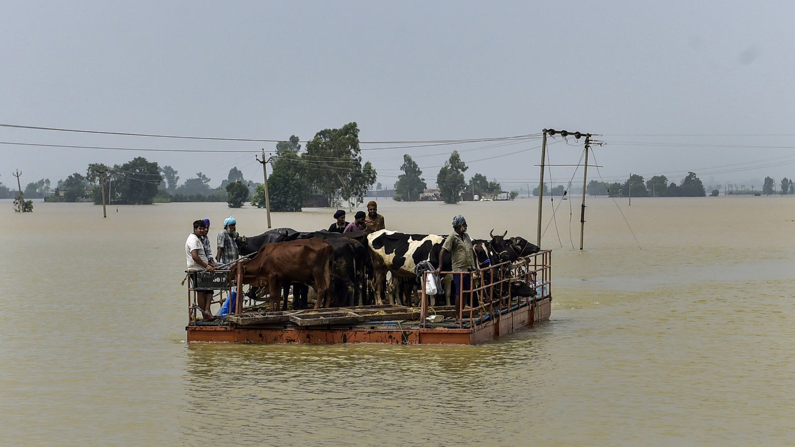 20 Army helicopters stationed in Punjab to relocate flood affected ...