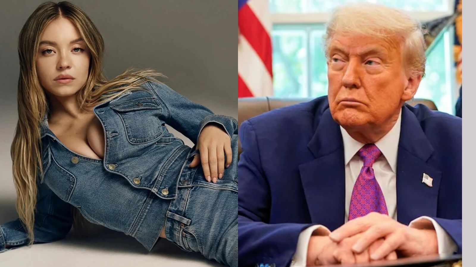‘Her ad is fantastic’: Trump on learning that Sydney Sweeney is a ...