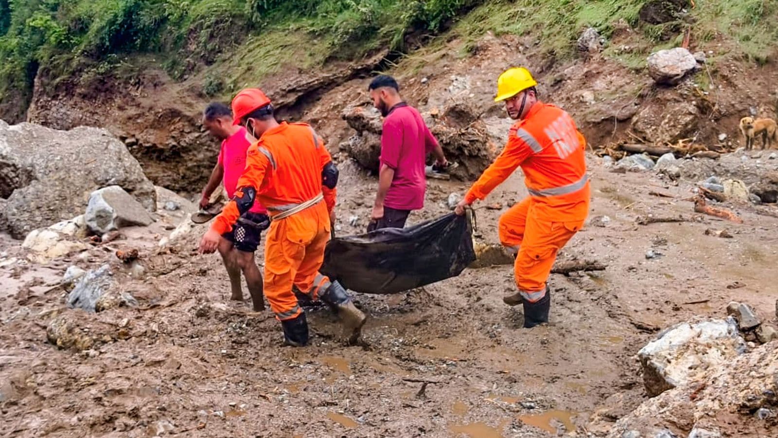 11 workers stranded after tunnel to power house blocked in Uttarakhand ...