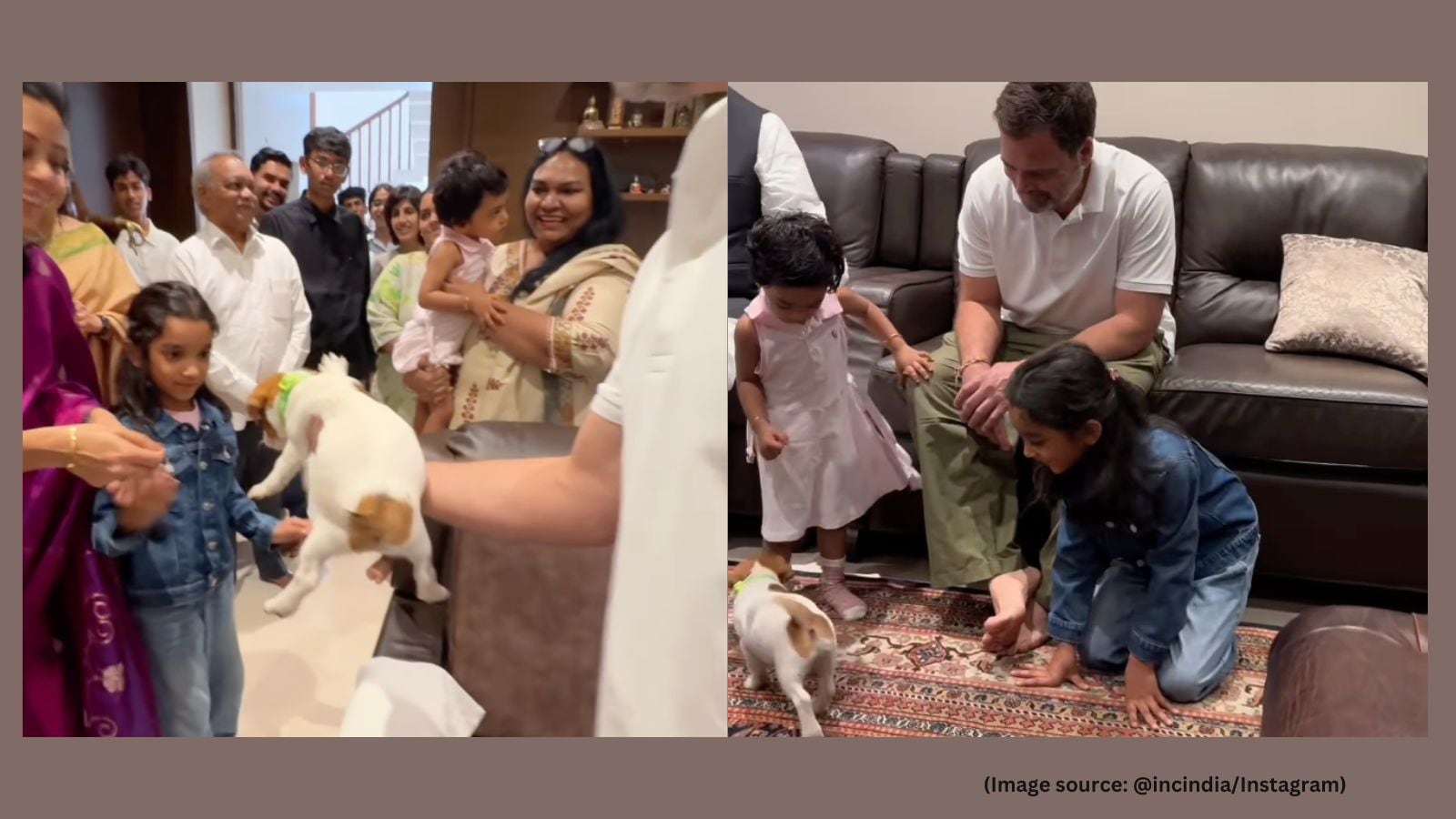 ‘Adorable’: Rahul Gandhi gifts indie puppy to Mallikarjun Kharge’s granddaughter on birthday ...