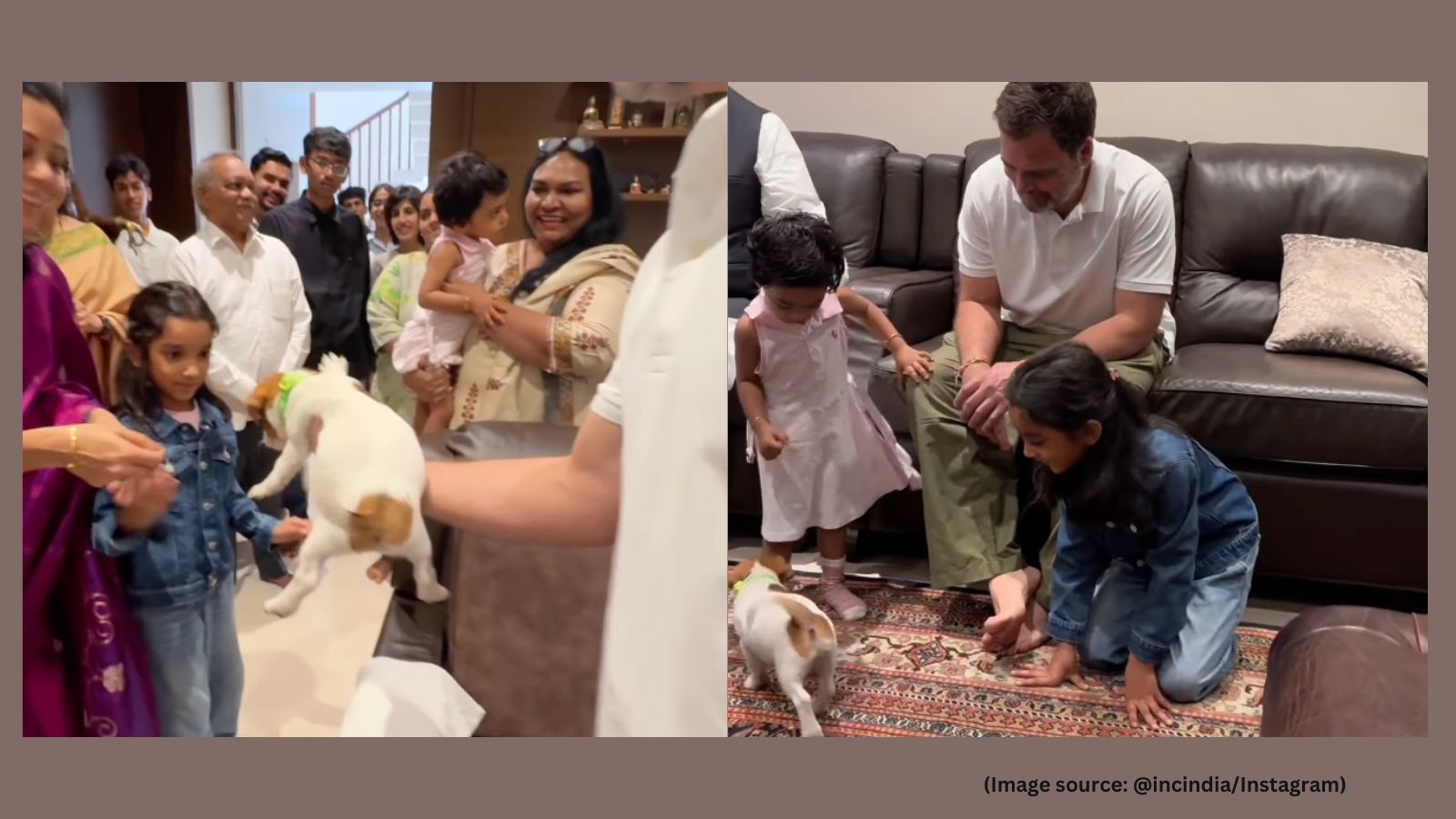 ‘Adorable’: Rahul Gandhi gifts indie puppy to Mallikarjun Kharge’s ...