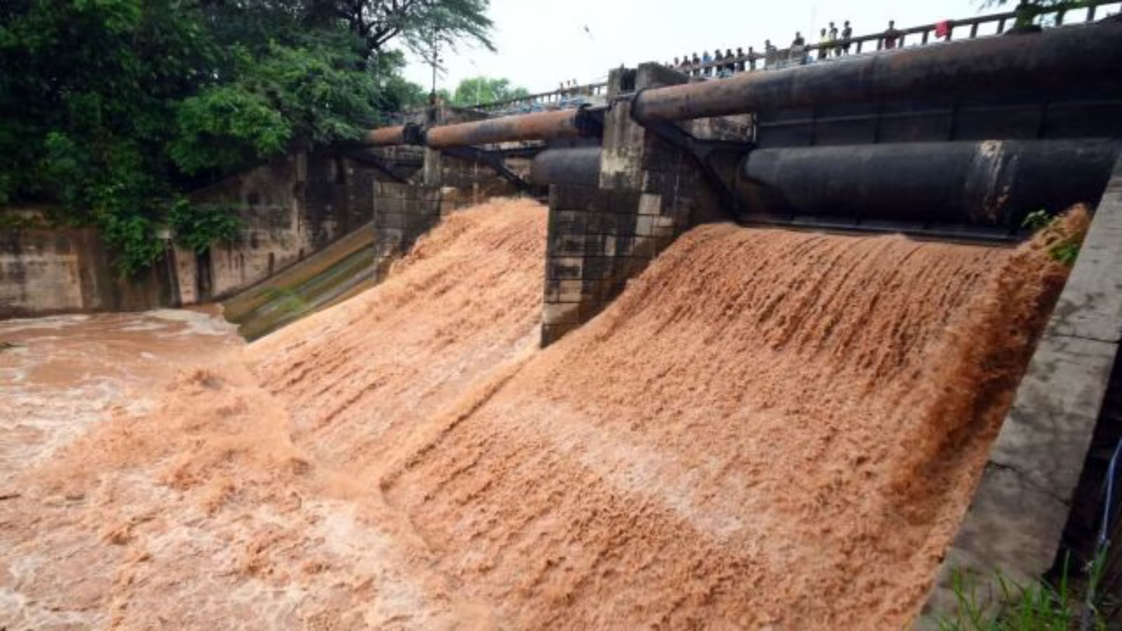Amid Punjab floods, silence around water discharge from Ranjit Sagar ...