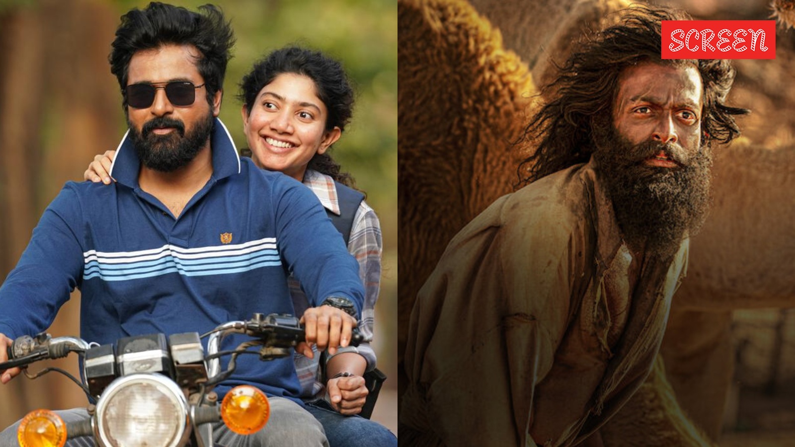 SIIMA 2025 winners list: Aadujeevitham, Amaran win big; Sai Pallavi ...