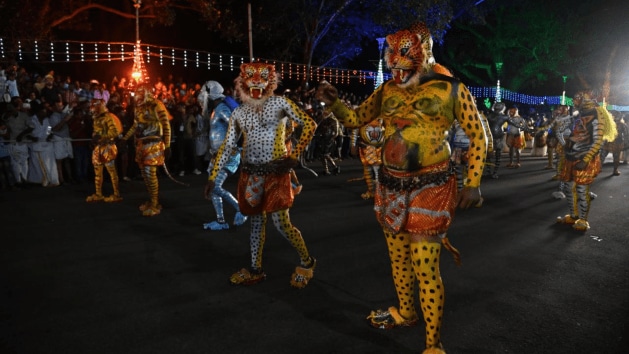Pulikali 2025: Significance of this folk art in Onam, a harvest ...
