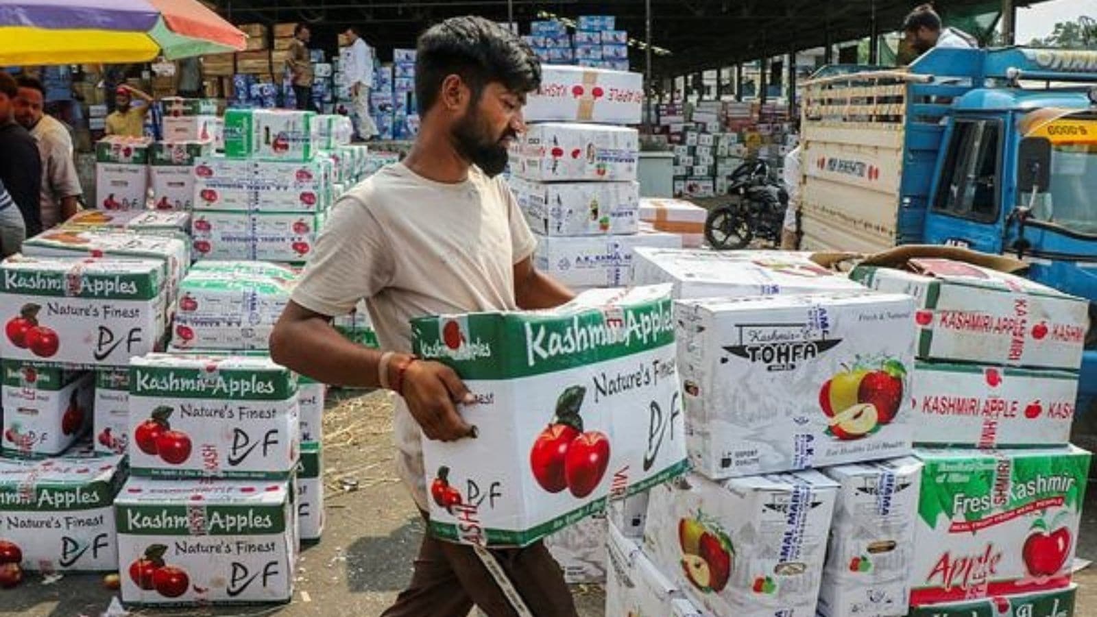 Despite monsoon mayhem, over 1.7 cr apple boxes reached markets across ...