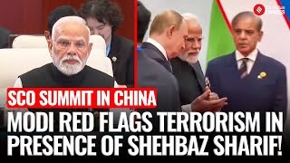 Pm Modi Roars At Sco Summit Zero Tolerance For Terrorism No Double