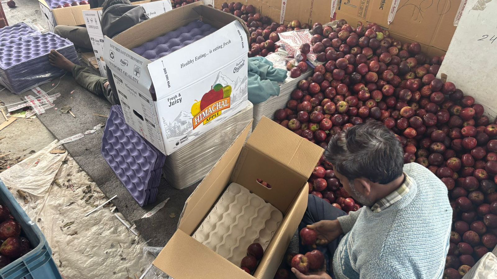 Heavy rains, unpredictable weather conditions, imported varieties: How ...