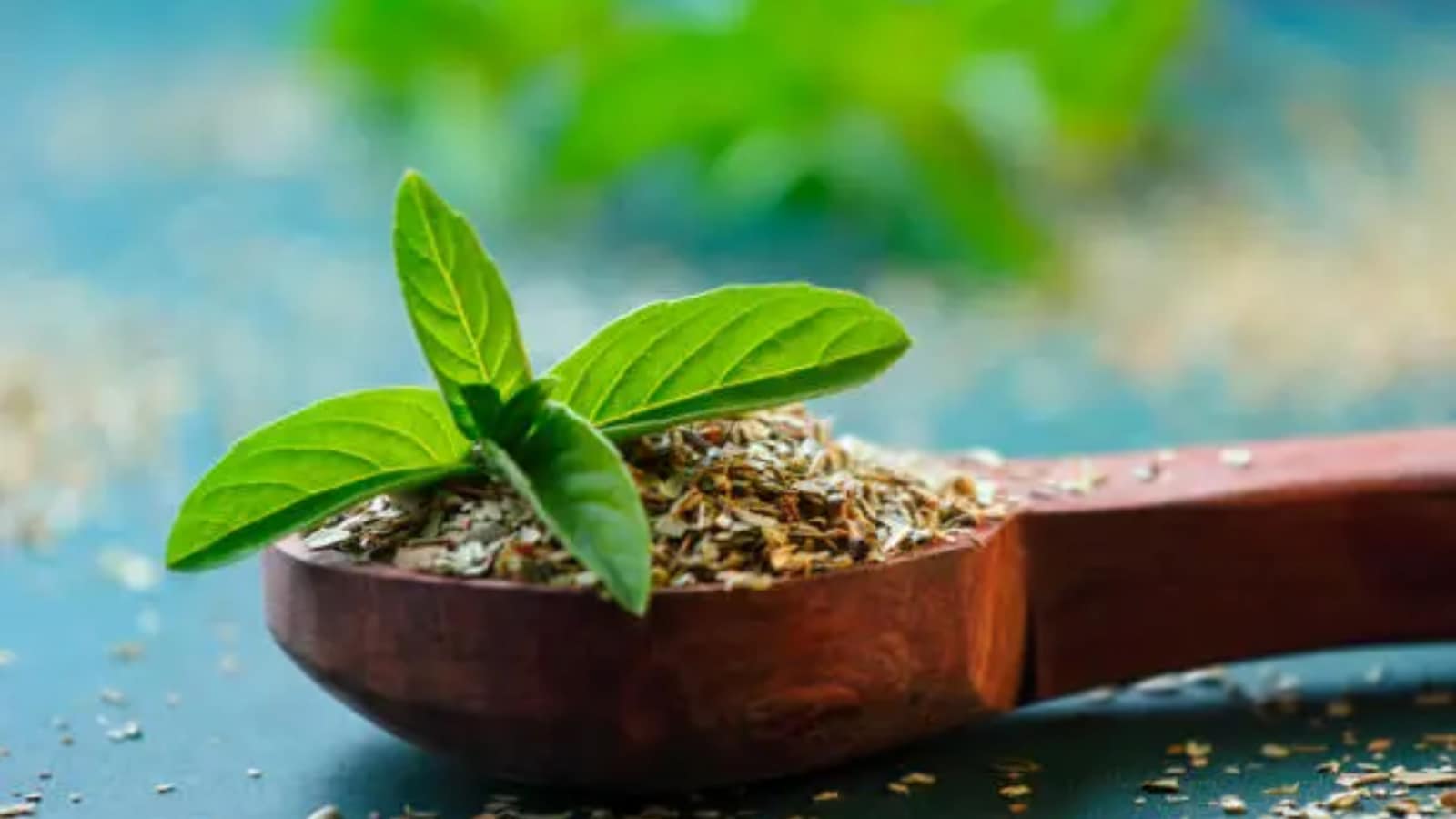 6 vegetables, spices, and herbs pre diabetics can try incorporating in ...