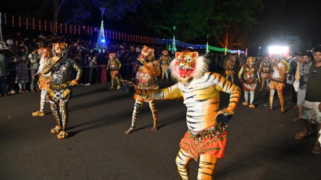 Pulikali 2025: Significance of this folk art in Onam, a harvest ...
