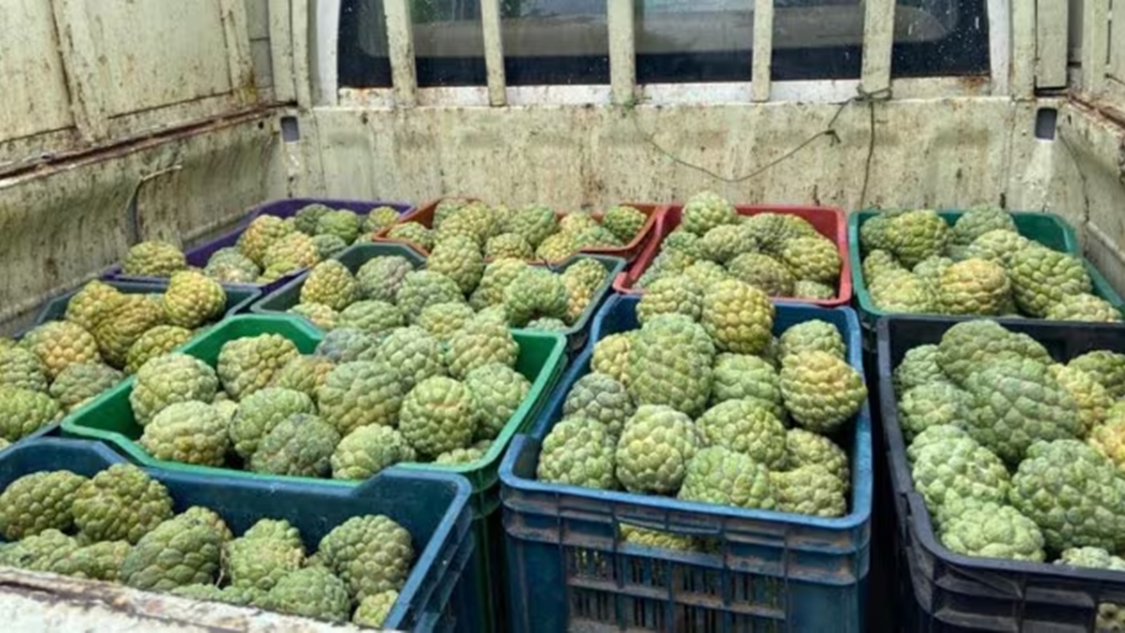 Food processing cluster to come up in Aerocity, small farmers to gain ...