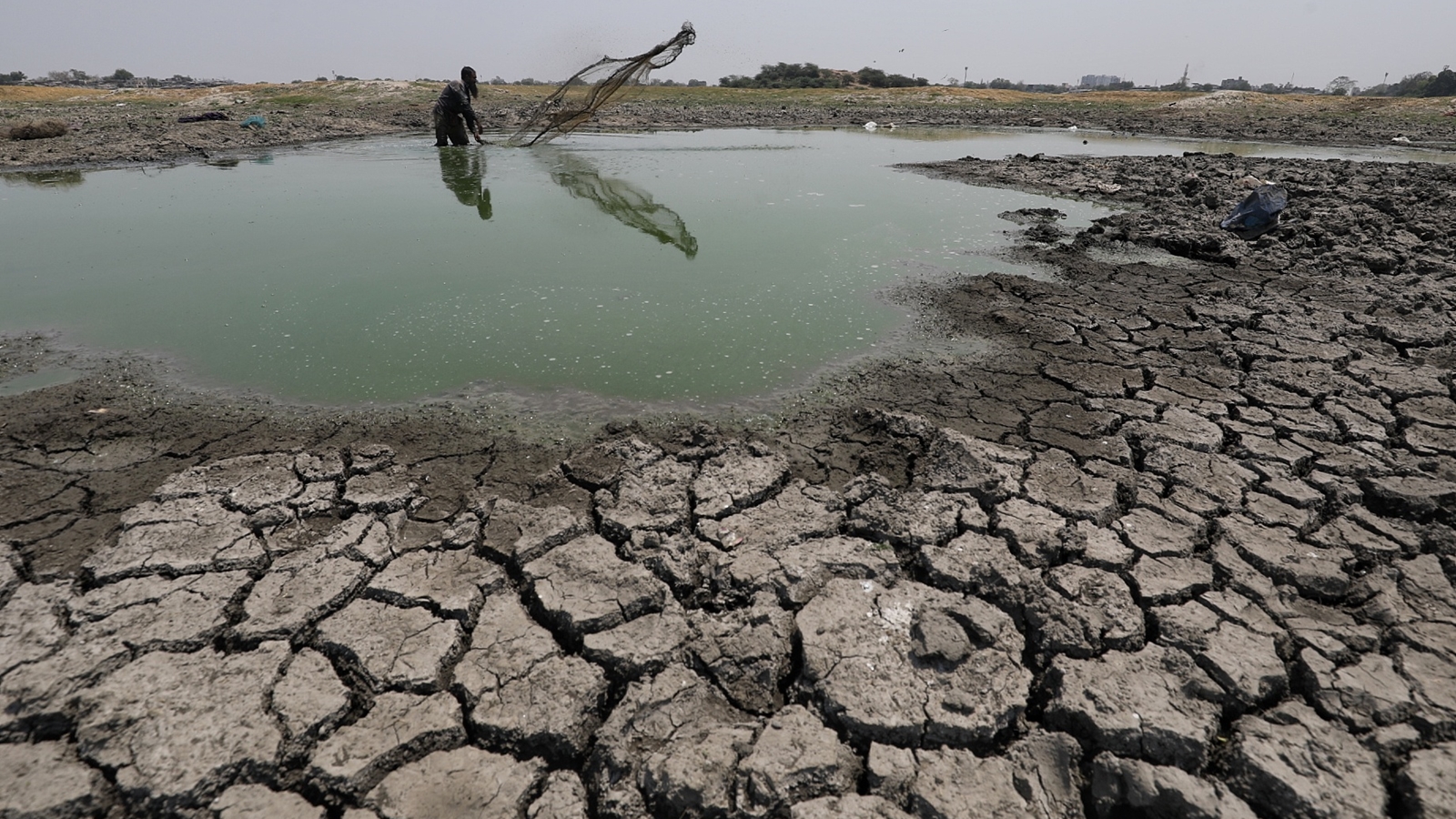 Maharashtra: Ministers, Opp leaders demand declaring of wet drought ...