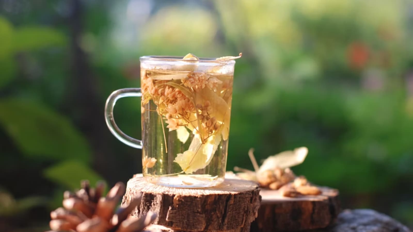 Top herbal teas for kidney health | Lifestyle Gallery News - The Indian ...