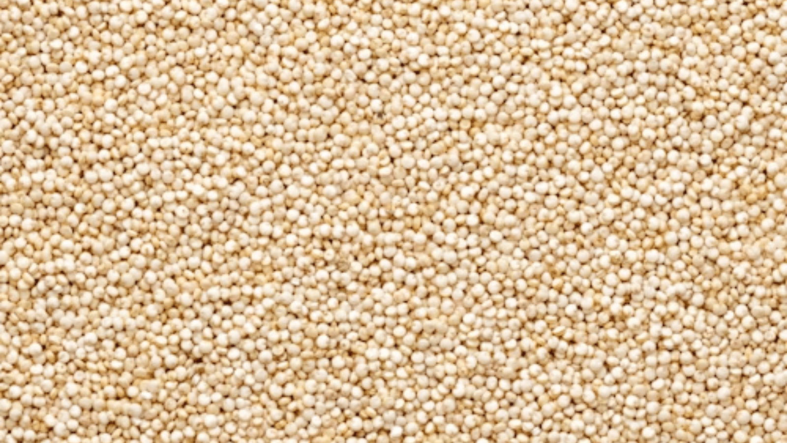 As El Niño threatens monsoon, farmer groups promote millets, mulching ...