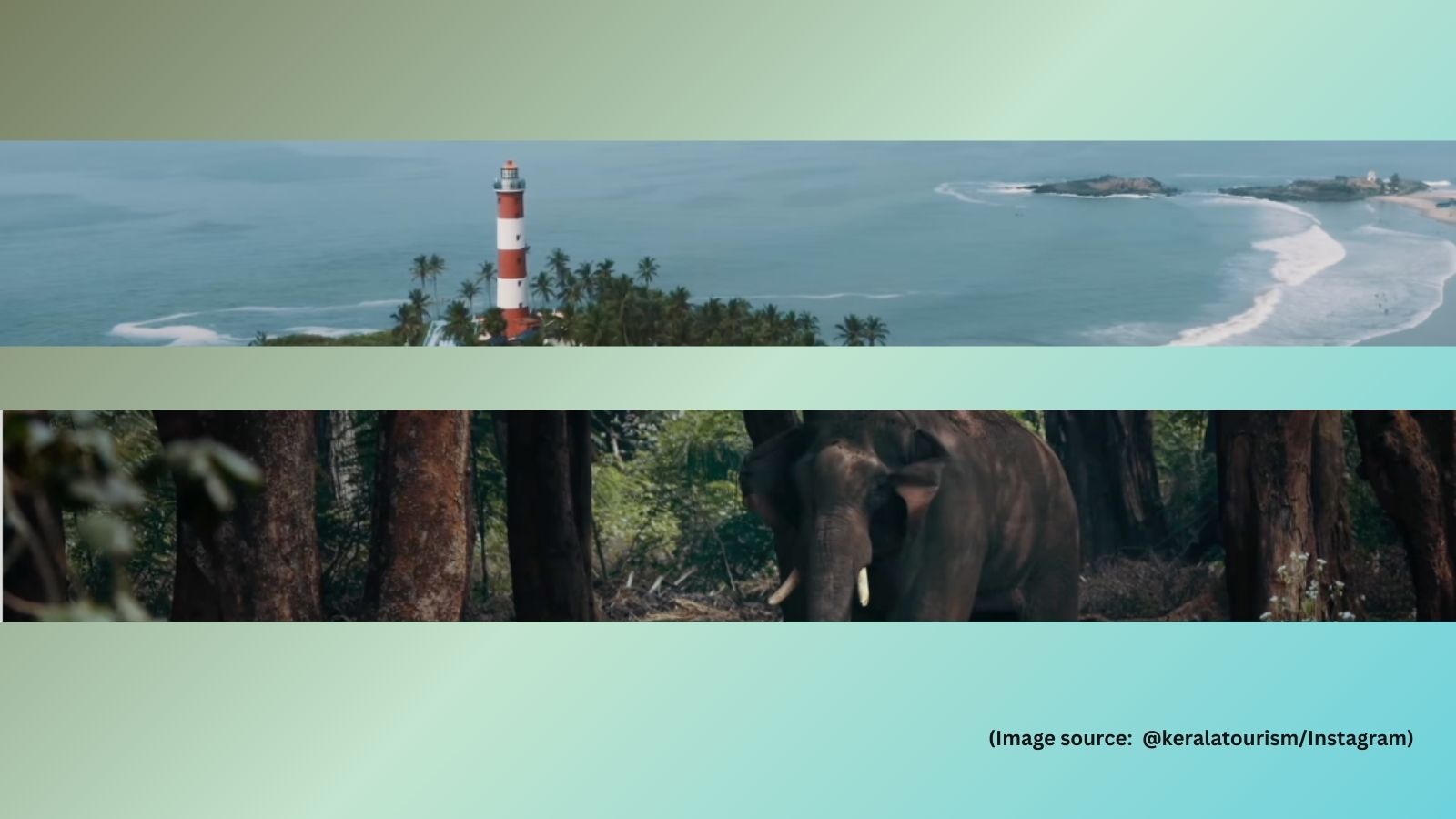 What’s the ‘thinnest video’ trend on Instagram? Here’s how to create ...