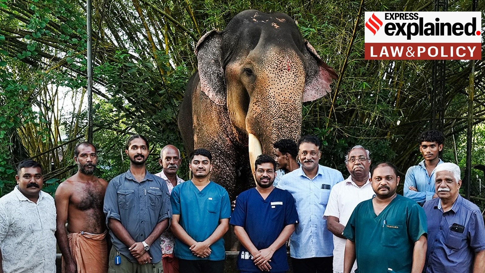 Reliance’s Vantara cleared of PIL allegations: What SC’s investigation ...