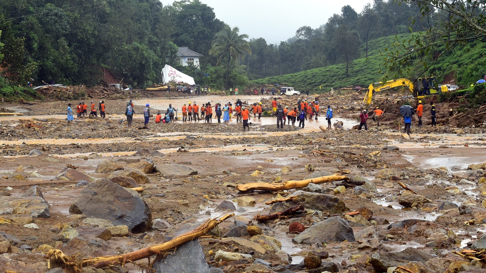Schools to teach special ‘green’ skills in Kerala’s disaster-hit ...