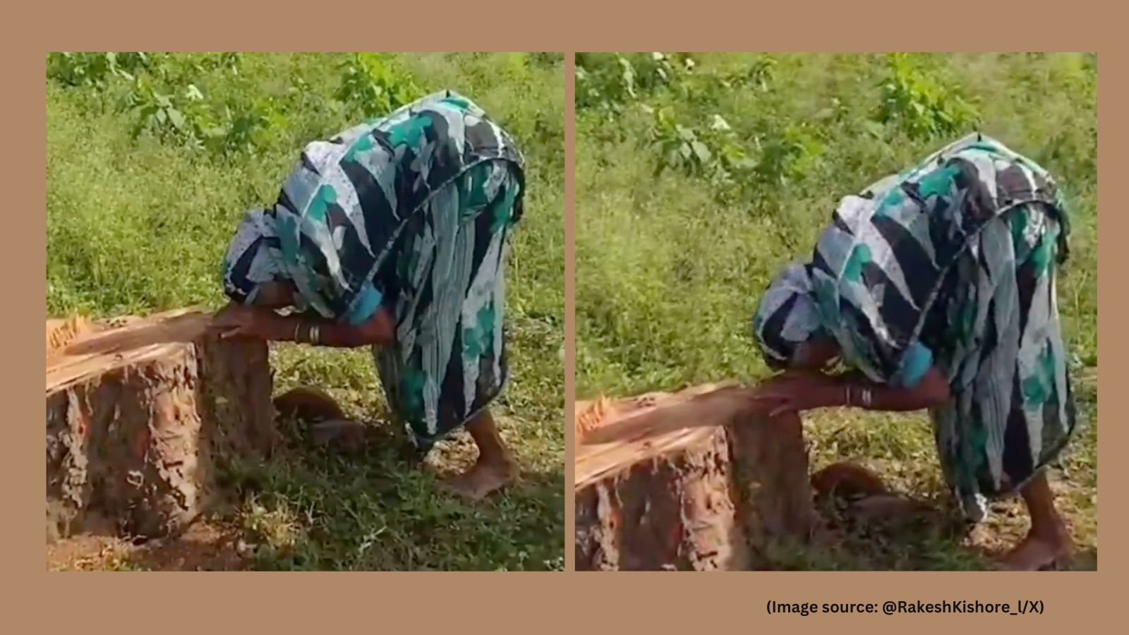 An 85-year old woman, a peepal tree and an unforeseen tragedy | The ...